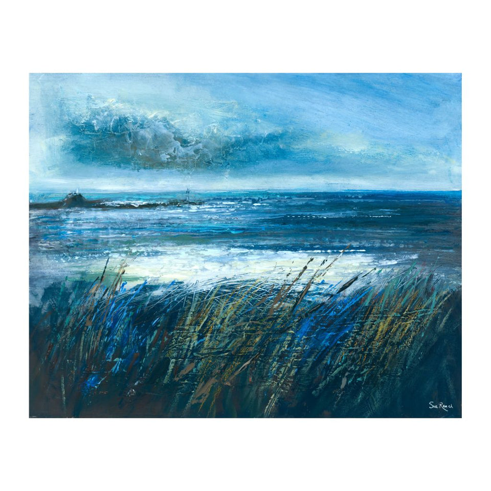 Cornwall Seascapes, Painter of the the sea and coast.